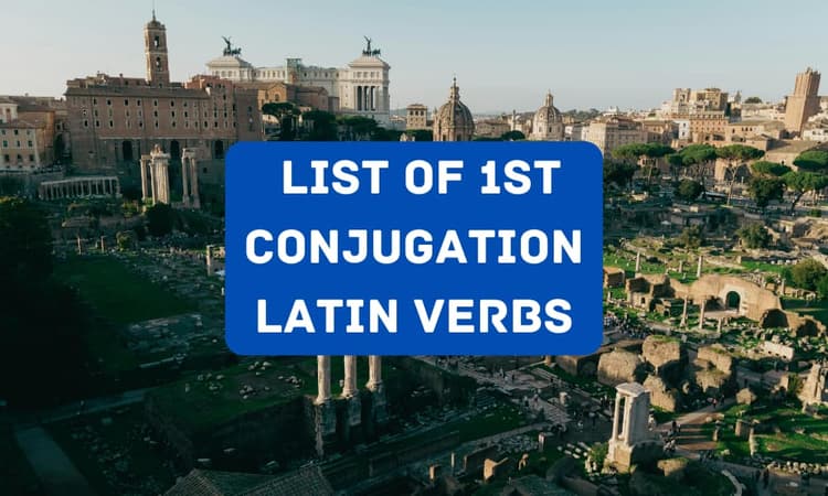 List of First Conjugation Latin Verbs