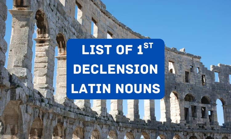 List of First Declension Latin Nouns